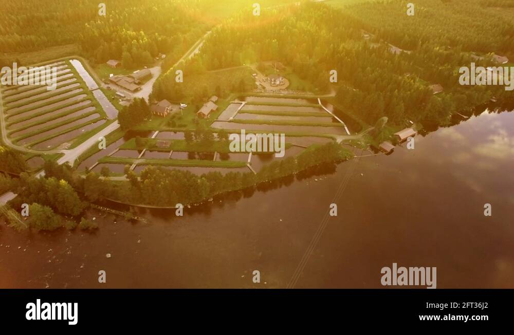 Fish farm pools by a streaming river with lens flare Stock Video ...