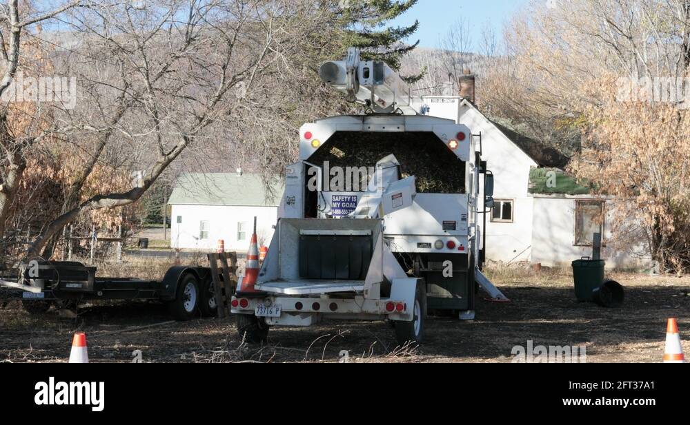 Tree trimming truck Stock Videos & Footage - HD and 4K Video Clips - Alamy