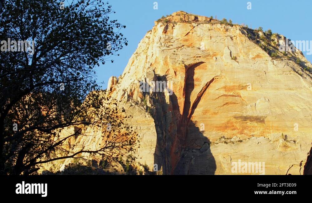 Tree wind cliff top Stock Videos & Footage - HD and 4K Video Clips - Alamy