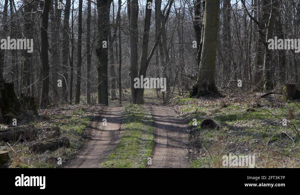 Road black forest road germany Stock Videos & Footage - HD and 4K Video ...