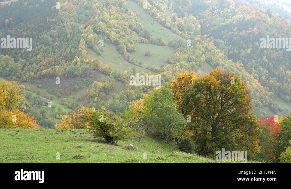 Magical autumn landscape Stock Videos & Footage - HD and 4K Video Clips ...