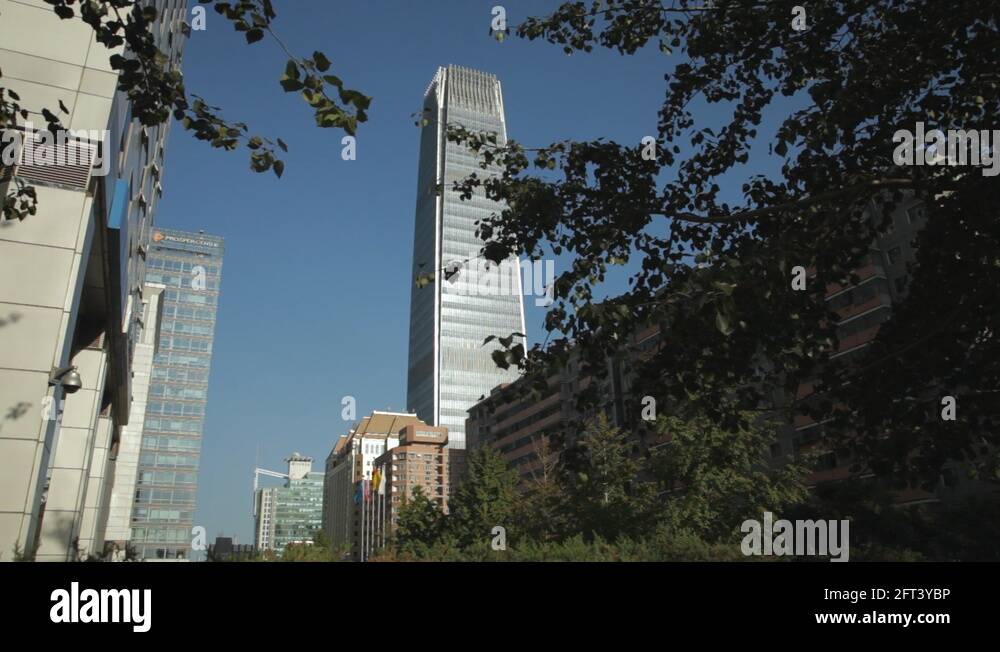 Trees for china Stock Videos & Footage - HD and 4K Video Clips - Alamy
