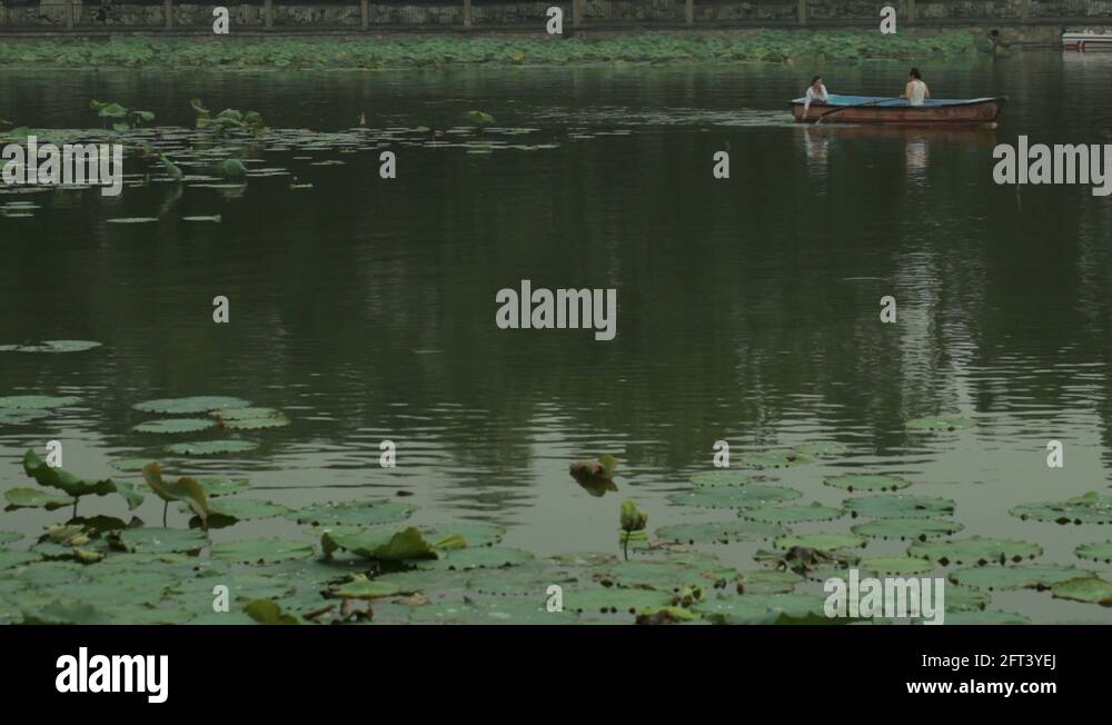 Two people rowing Stock Videos & Footage - HD and 4K Video Clips - Alamy