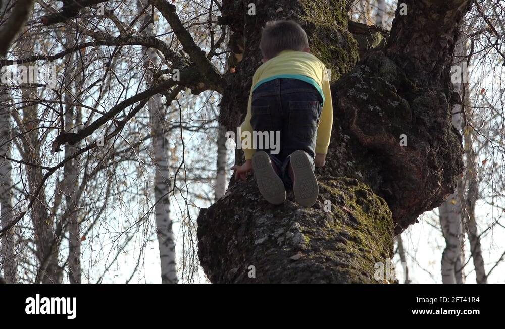 Child climbing tree hugging tree Stock Videos & Footage - HD and 4K ...