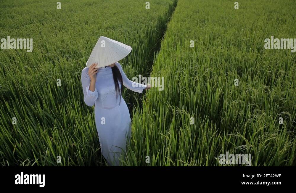 Ha dai Stock Videos & Footage - HD and 4K Video Clips - Alamy