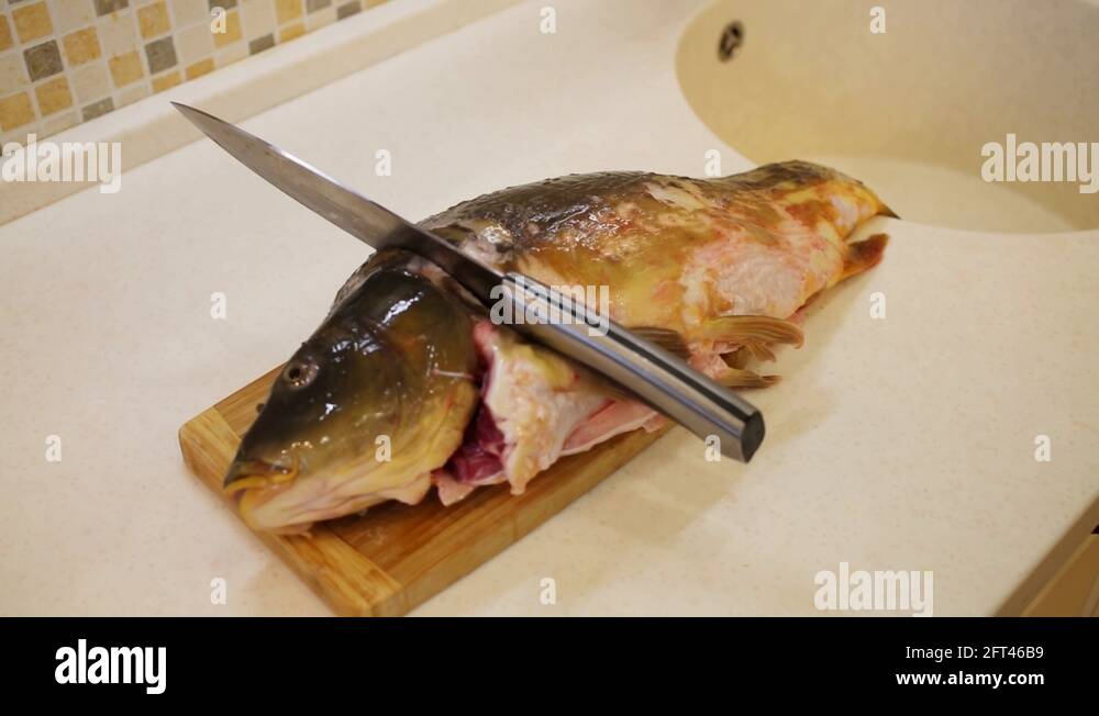 Cutting fish head with knife Stock Videos & Footage - HD and 4K Video ...