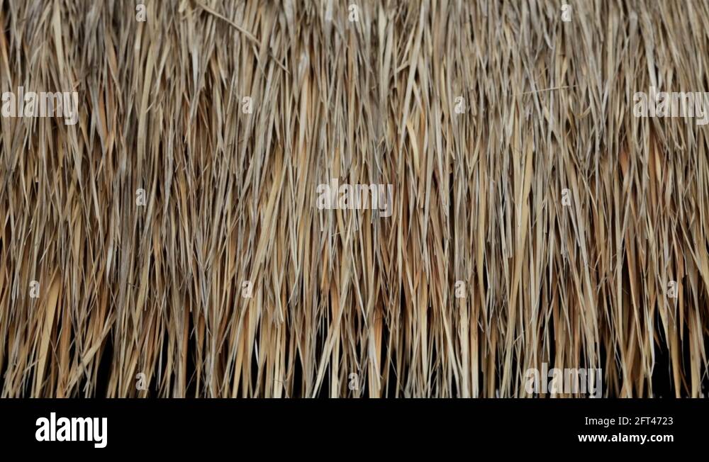 Indonesia thatch Stock Videos & Footage - HD and 4K Video Clips - Alamy