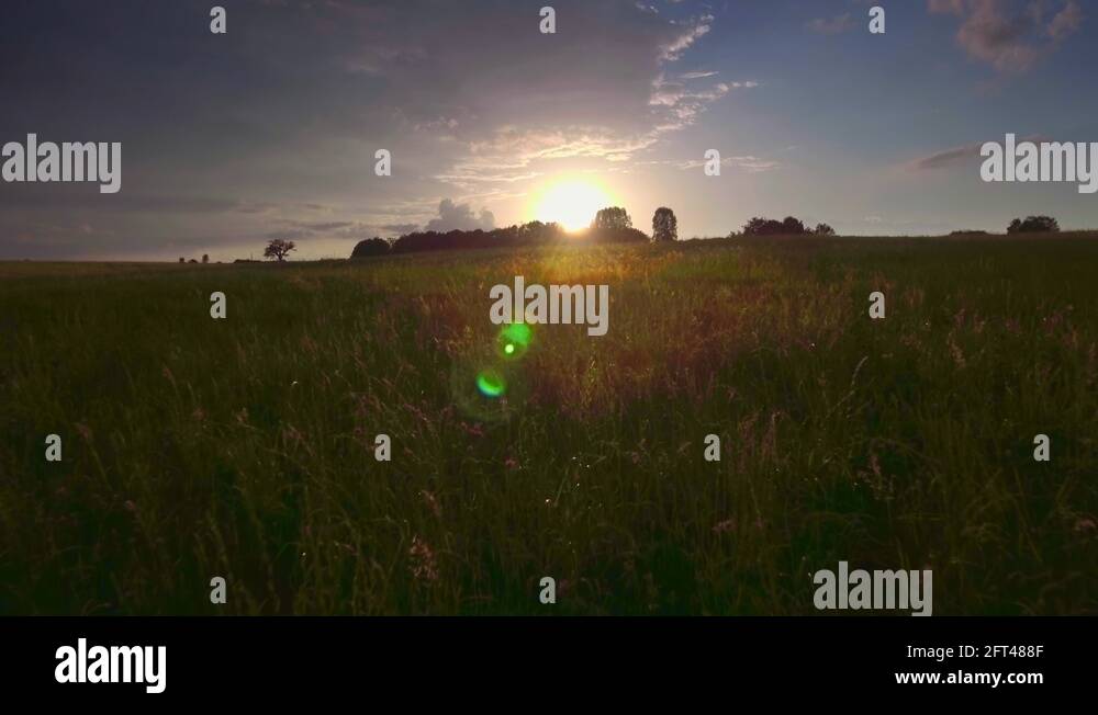 Lowland pasture Stock Videos & Footage - HD and 4K Video Clips - Alamy