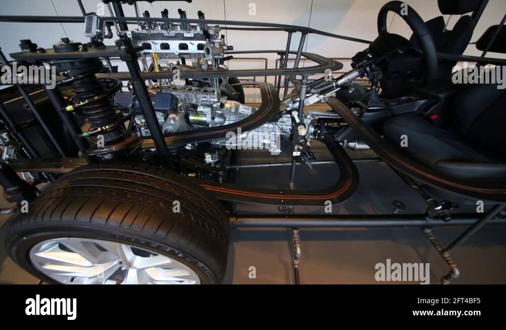 Motor pathway Stock Videos & Footage - HD and 4K Video Clips - Alamy