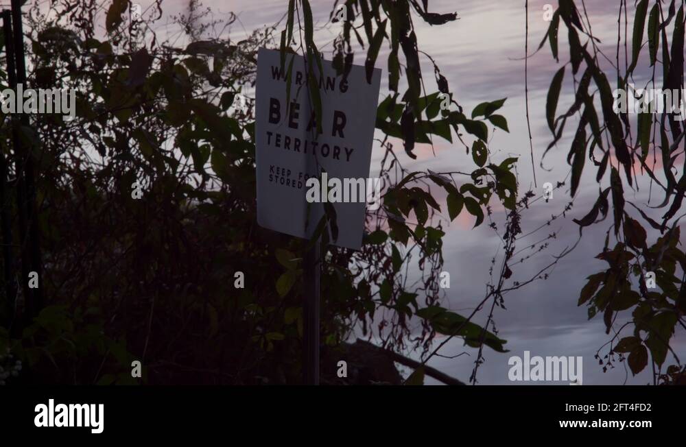 Black bear sign Stock Videos & Footage - HD and 4K Video Clips - Alamy