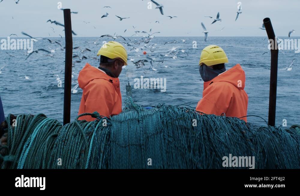 Crew of Fishermen Work on Commercial Fishing Ship that Pulls Trawl Net ...