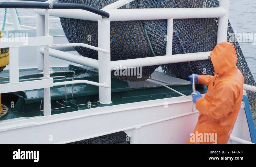 Fisherman Opens Trawl Net with Caugth Fish on Board of Commercial ...