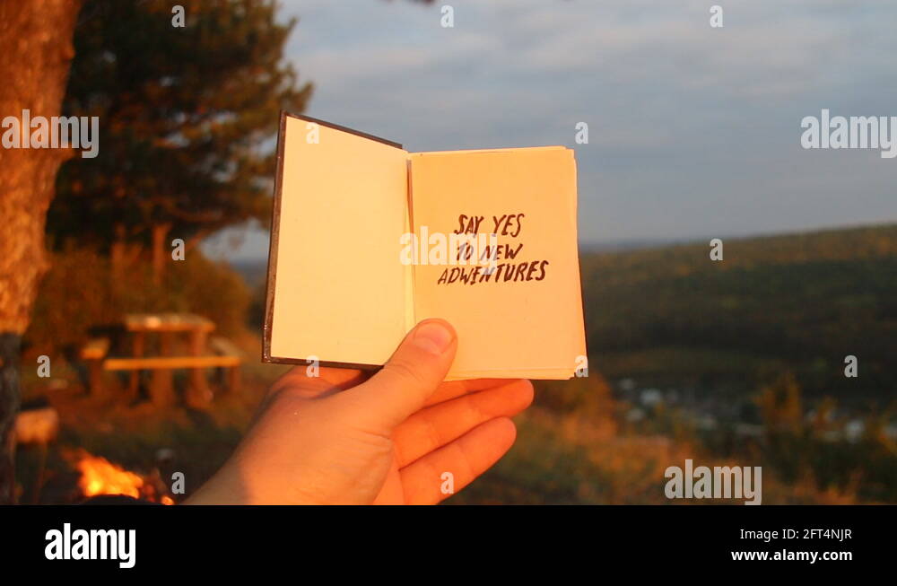 Say tree Stock Videos & Footage - HD and 4K Video Clips - Alamy