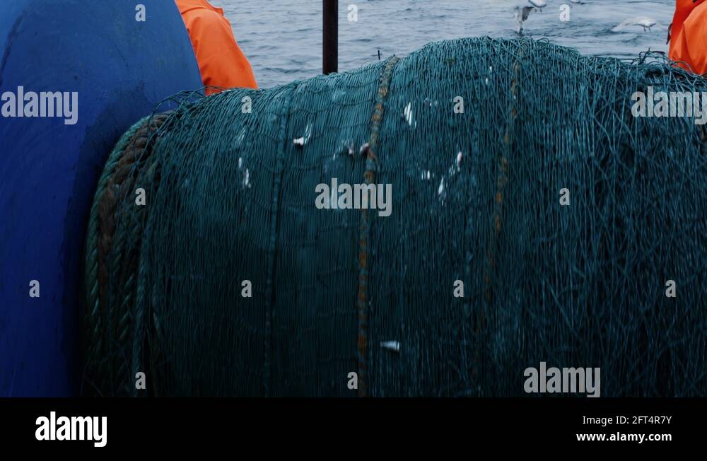 Crew of Fishermen Work on Commercial Fishing Ship that Pulls Trawl Net ...