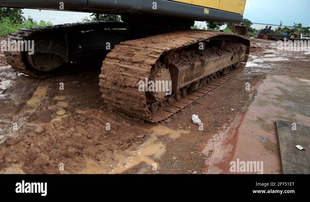 Swamp mud detail Stock Videos & Footage - HD and 4K Video Clips - Alamy