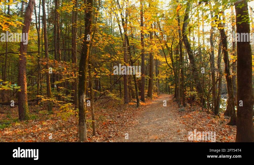 Scenic trail Stock Videos & Footage - HD and 4K Video Clips - Alamy
