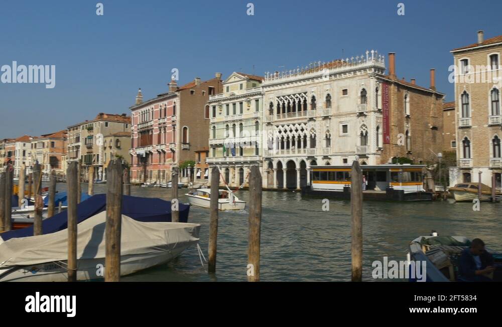 Ferry building fish market Stock Videos & Footage - HD and 4K Video ...
