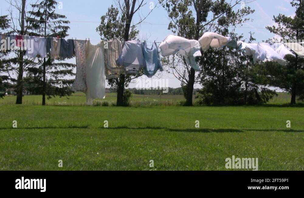 Clothes line backyard Stock Videos & Footage - HD and 4K Video Clips ...