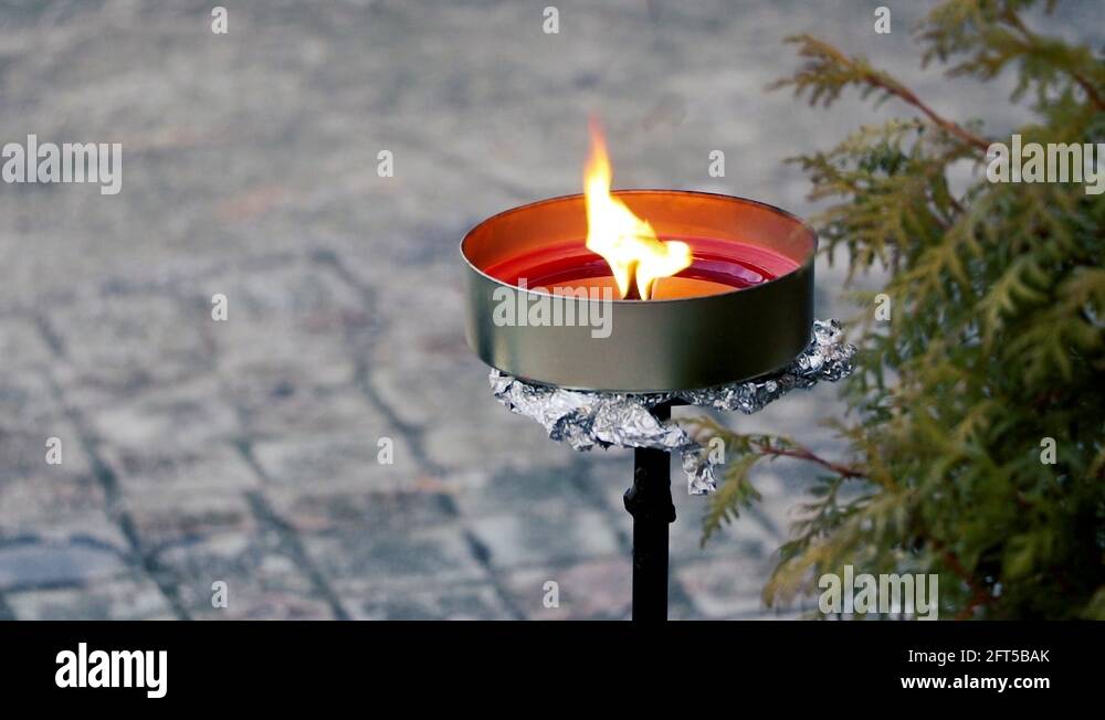 A flame shell Stock Videos & Footage - HD and 4K Video Clips - Alamy