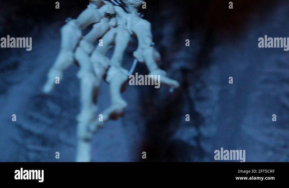 Artificial skeleton Stock Videos & Footage - HD and 4K Video Clips - Alamy