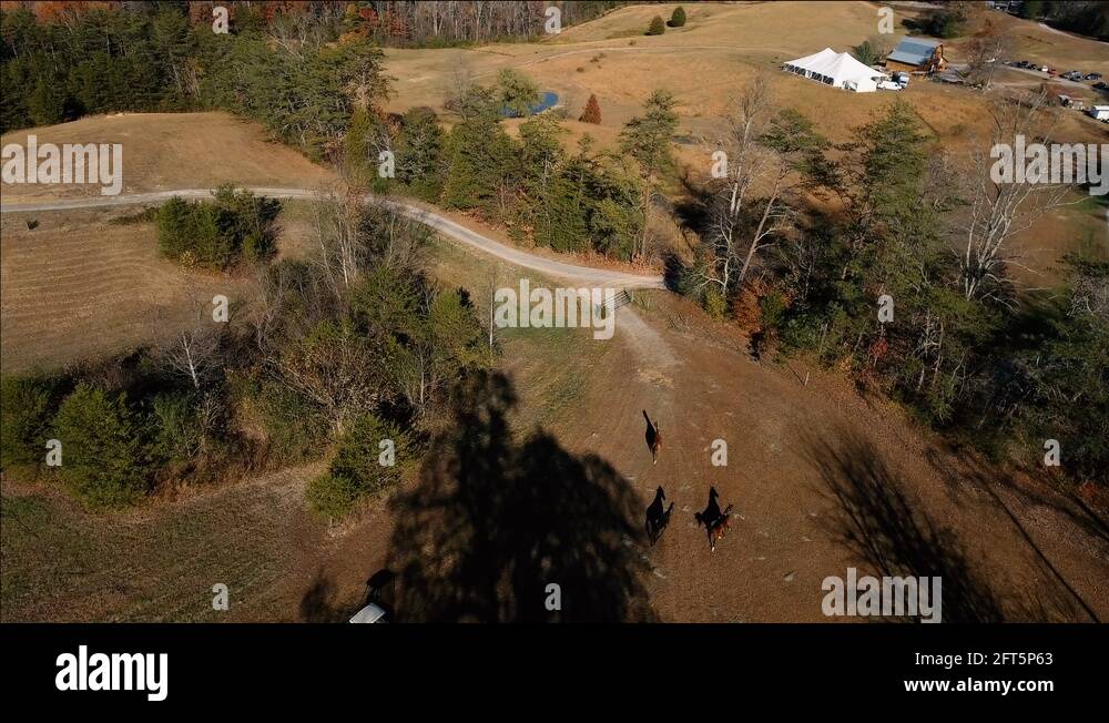 Aerial camera shot Stock Videos & Footage - HD and 4K Video Clips - Alamy