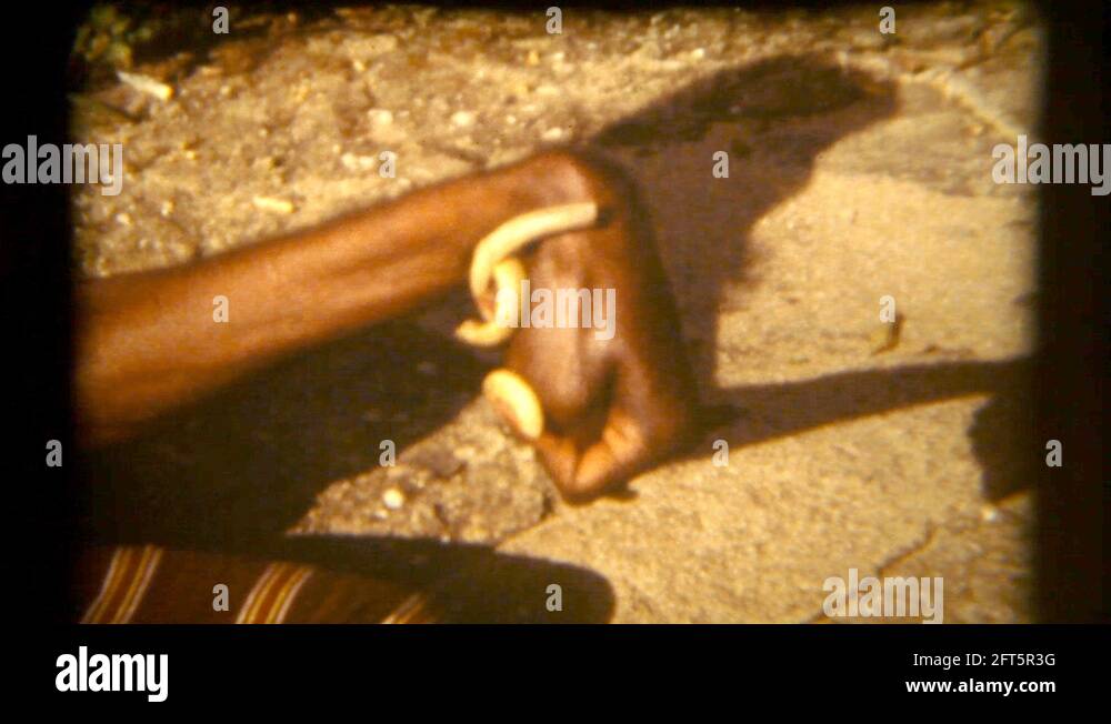 Snake on hand Stock Videos & Footage - HD and 4K Video Clips - Alamy