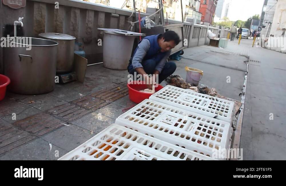 Selling chickens Stock Videos & Footage - HD and 4K Video Clips - Alamy