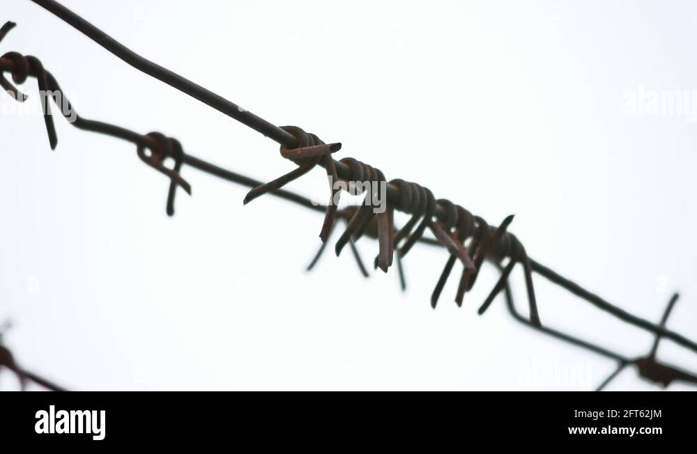 Barbed wire on white Stock Videos & Footage - HD and 4K Video Clips - Alamy