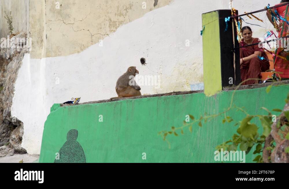 India woman face hands Stock Videos & Footage - HD and 4K Video Clips ...