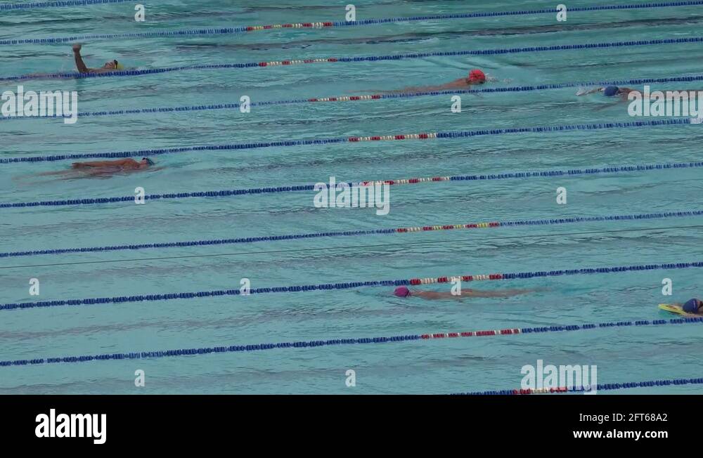 Adult swimming pool sport Stock Videos & Footage - HD and 4K Video ...