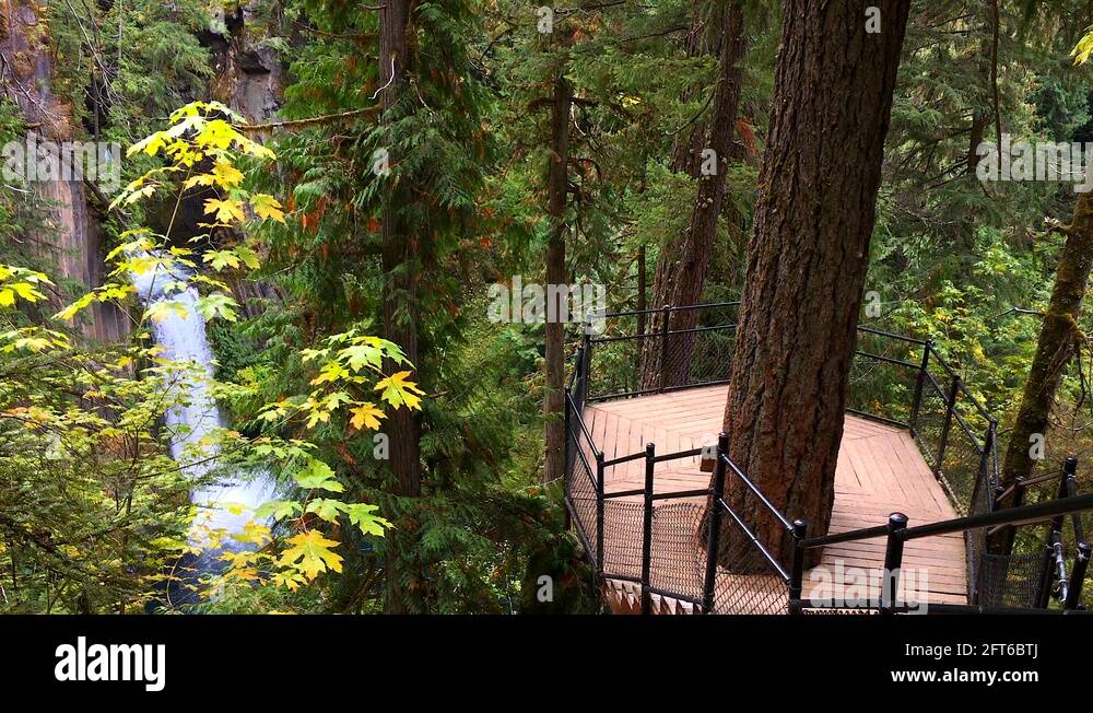 Douglas platform Stock Videos & Footage - HD and 4K Video Clips - Alamy