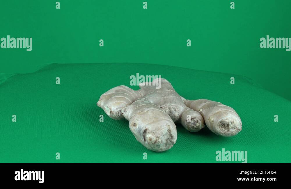 Ginger Rotating in Green Screen Chroma Key Matte Stock Video Footage ...