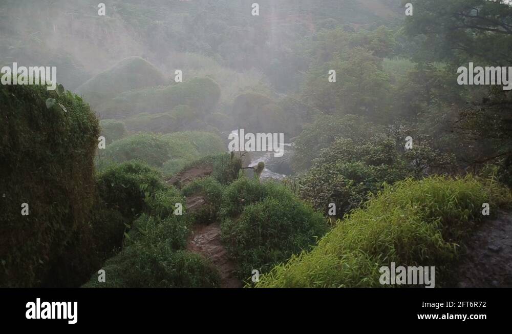Elephant falls Stock Videos & Footage - HD and 4K Video Clips - Alamy