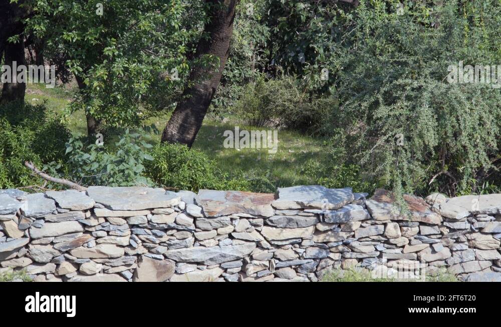 Stone wall and hedge Stock Videos & Footage - HD and 4K Video Clips - Alamy