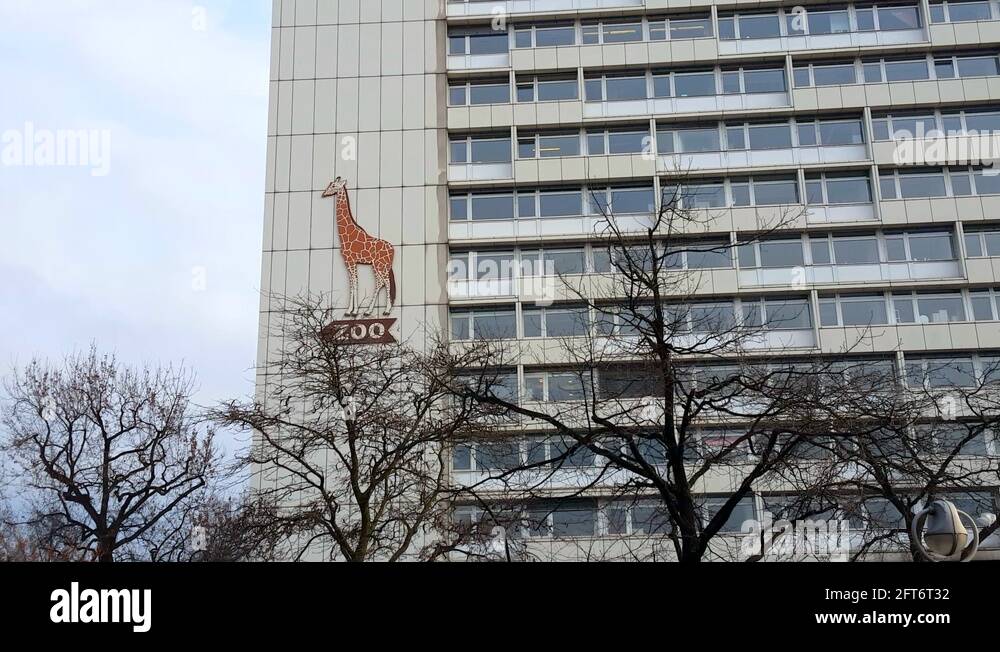 Safari giraffe sign Stock Videos & Footage - HD and 4K Video Clips - Alamy