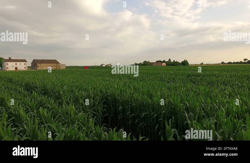 Topography horizontal Stock Videos & Footage - HD and 4K Video Clips ...