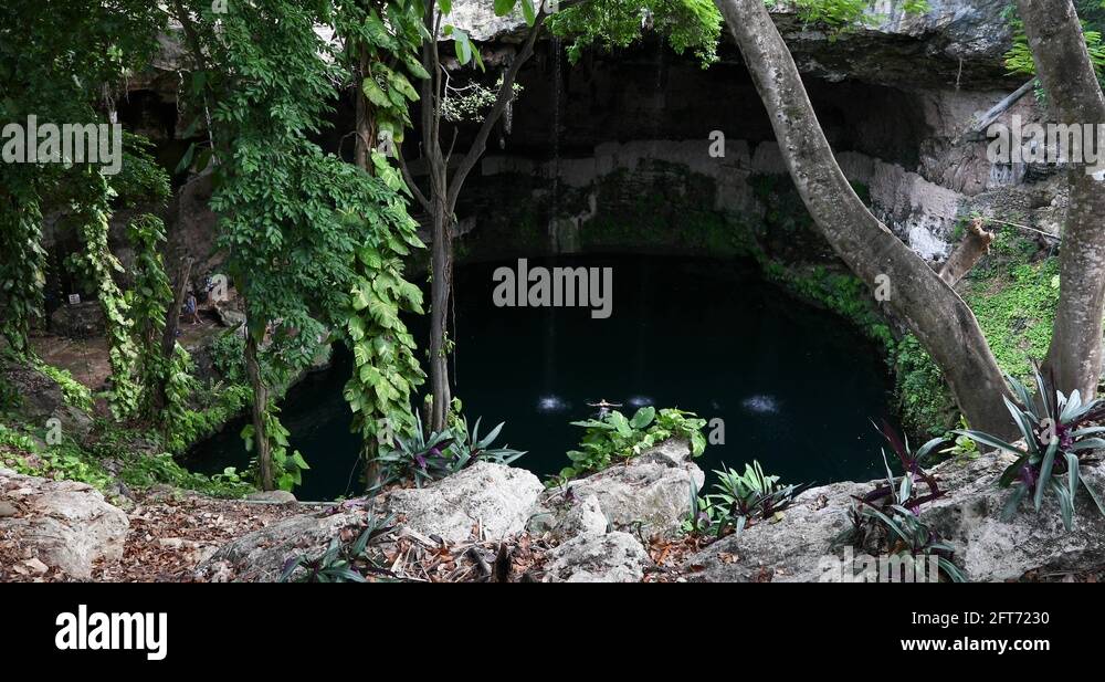 Yucatan sinkhole and swim Stock Videos & Footage - HD and 4K Video ...
