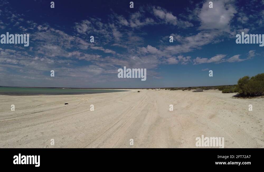 White mussel shells Stock Videos & Footage - HD and 4K Video Clips - Alamy