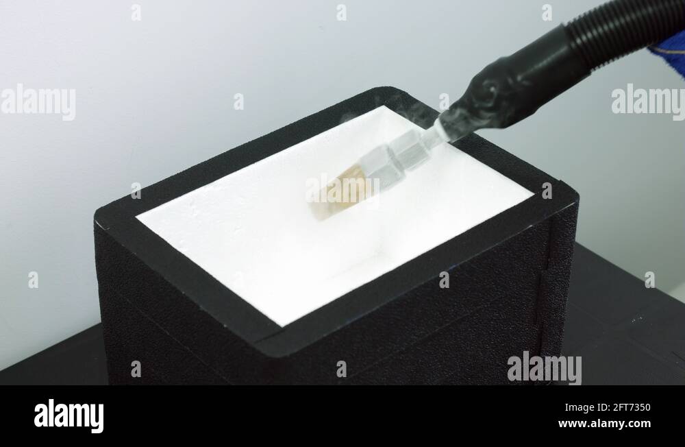 Styrofoam container Stock Videos & Footage - HD and 4K Video Clips - Alamy