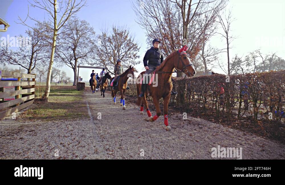 Parade walk Stock Videos & Footage - HD and 4K Video Clips - Alamy