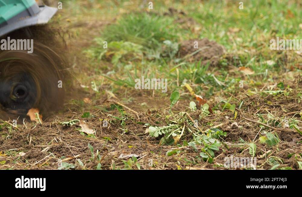 Seedbed garden Stock Videos & Footage - HD and 4K Video Clips - Alamy