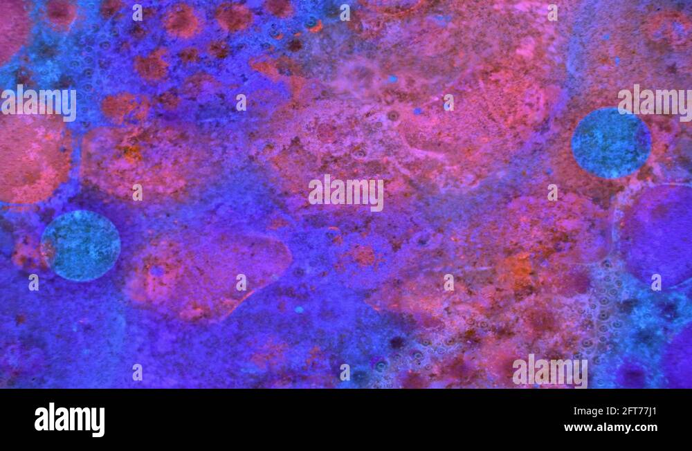 Microscopic View of Ink in Water Stock Video Footage - Alamy