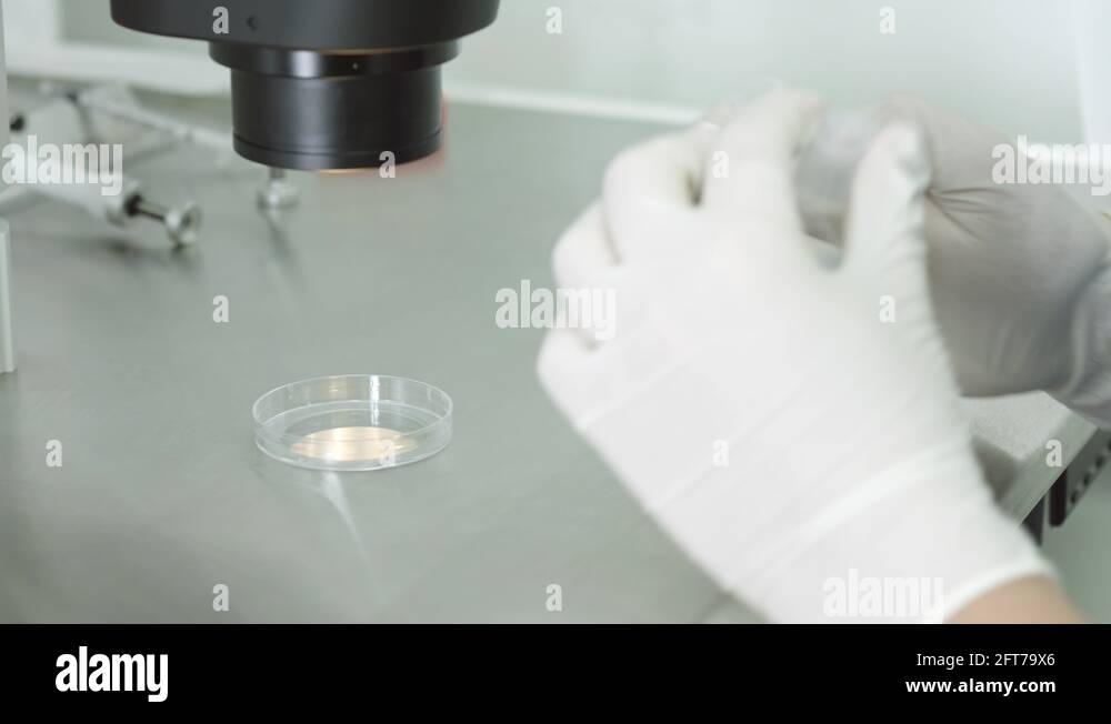 Biological experiment Stock Videos & Footage - HD and 4K Video Clips ...