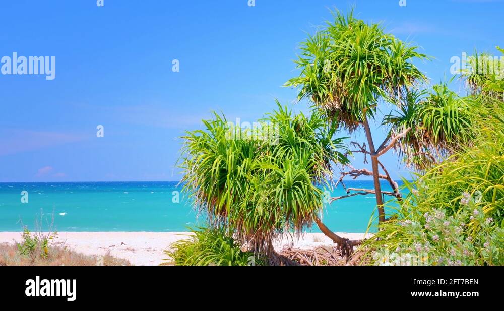 Summer vocation Stock Videos & Footage - HD and 4K Video Clips - Alamy