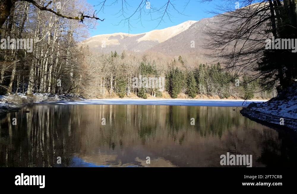 Biogradska gora Stock Videos & Footage - HD and 4K Video Clips - Alamy