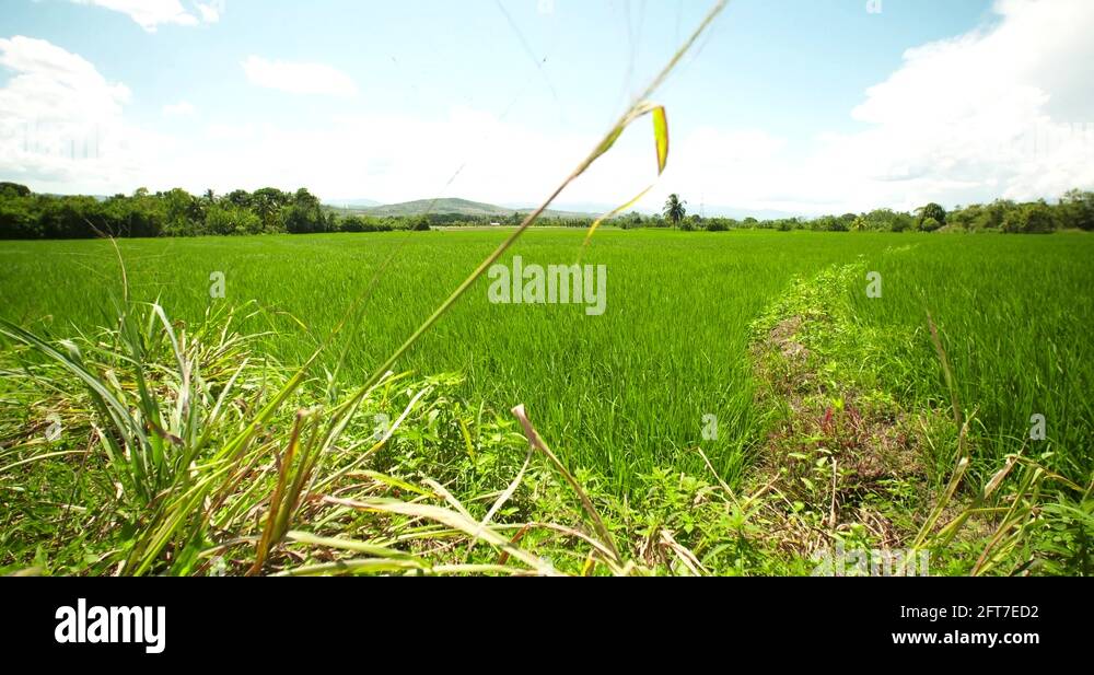 South peru Stock Videos & Footage - HD and 4K Video Clips - Alamy