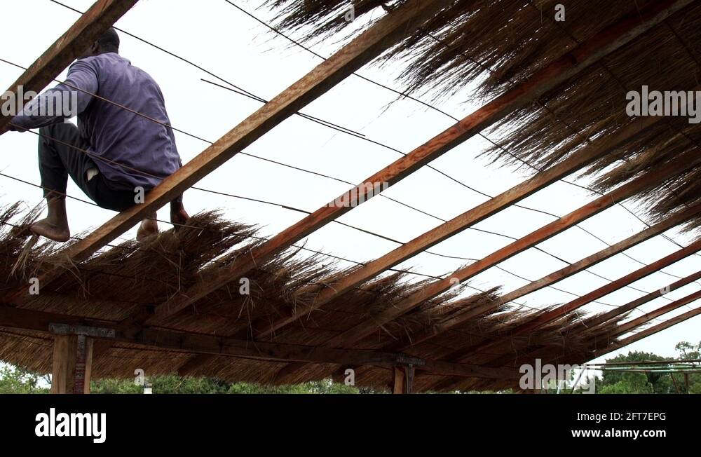 Traditional building methods house Stock Videos & Footage - HD and 4K ...