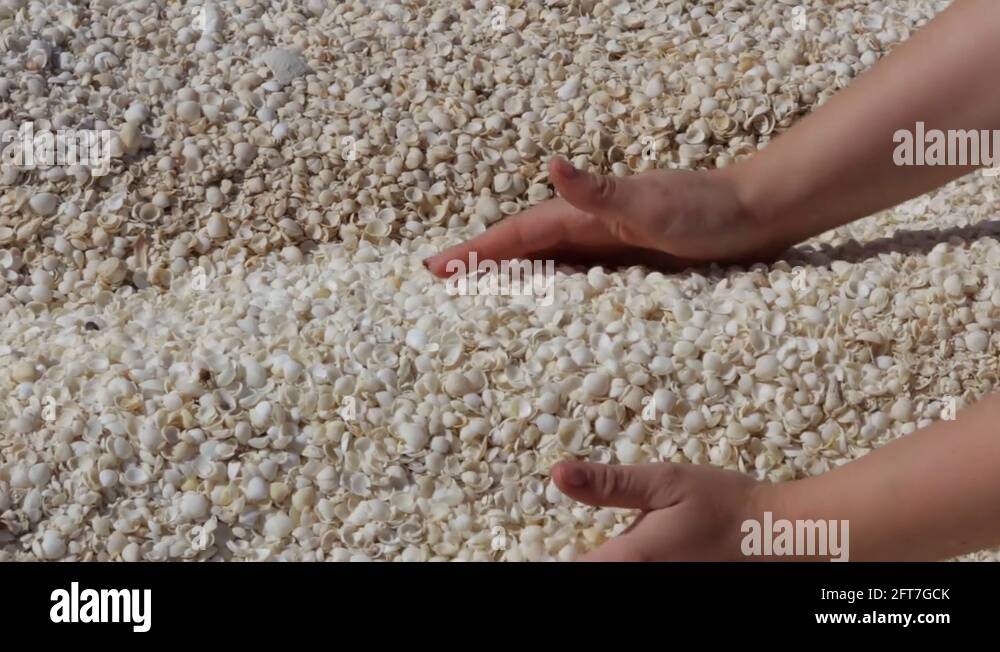 Throwing shells Stock Videos & Footage - HD and 4K Video Clips - Alamy