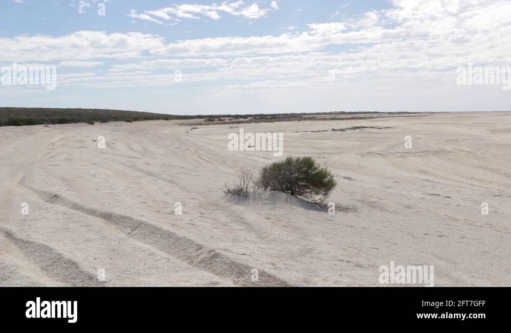 Shell beach and australia Stock Videos & Footage - HD and 4K Video ...