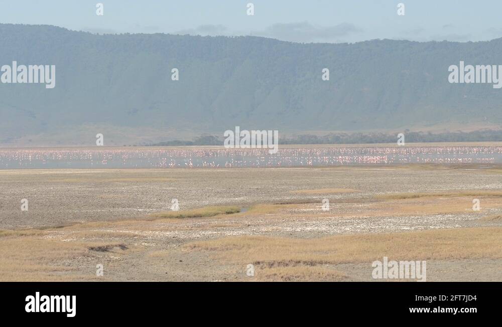 Ngorongoro crater lake magadi in Stock Videos & Footage - HD and 4K ...